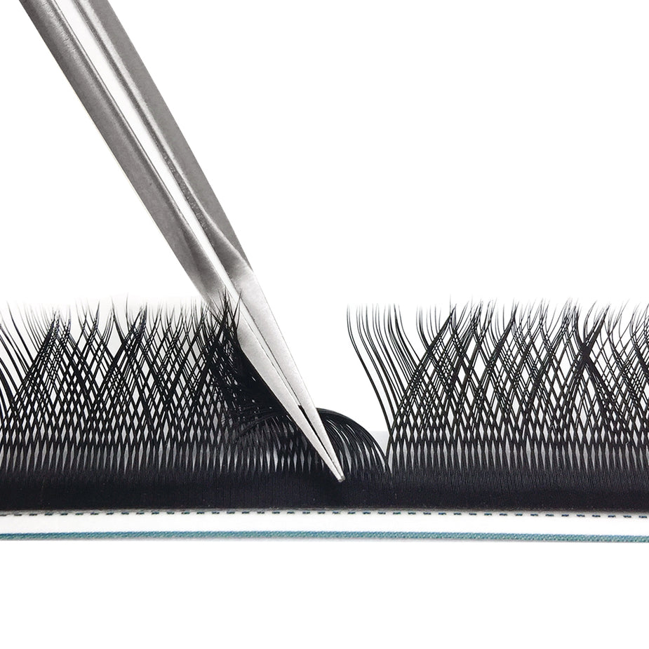 YY Lash Extensions | W Eyelash Extensions | YY Eyelash Extensions ...